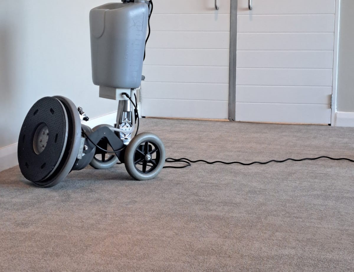 True Clean Carpet Cleaners – Carpet Cleaning – Pest Control ...